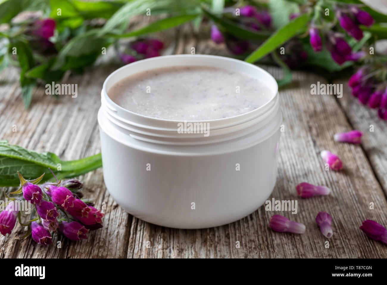 A jar of comfrey root ointment with fresh blooming symphytum officinale ...