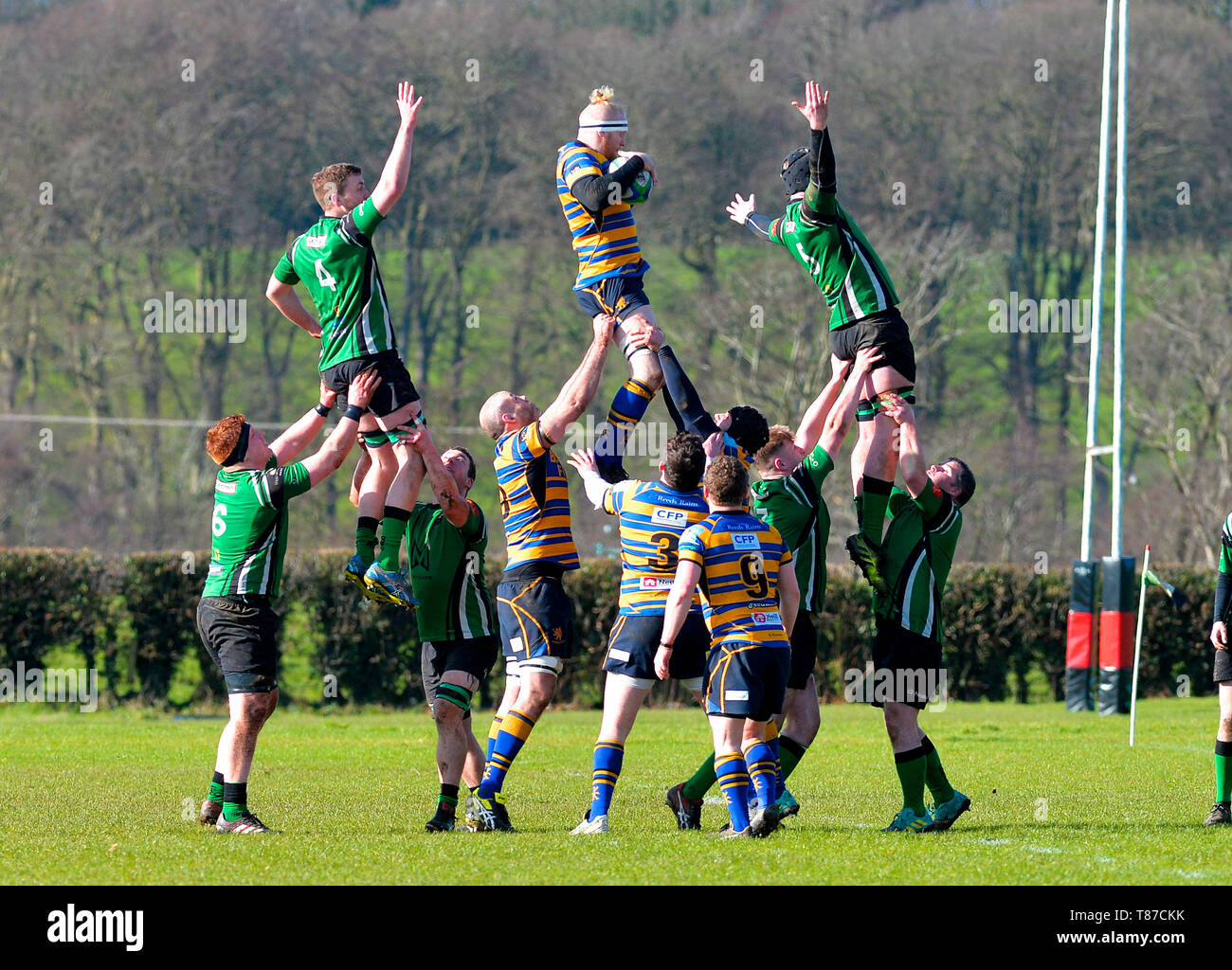 Lineout during City of Derry (in green) and Bangor in Irish amateur ...