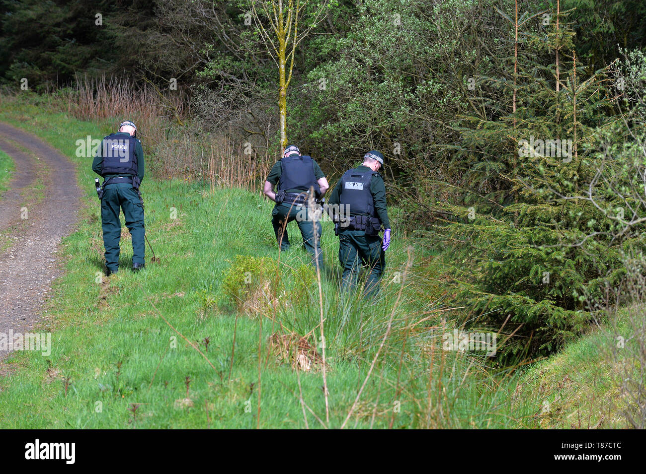 PSNI officers search crime scene in wooded area in Northern Ireland ...
