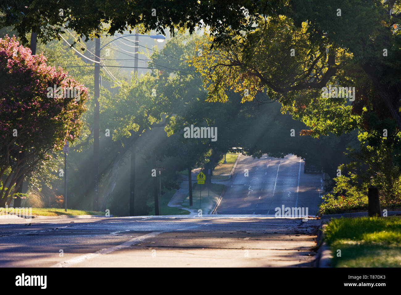 Early Morning Street Scene Stock Photo - Alamy