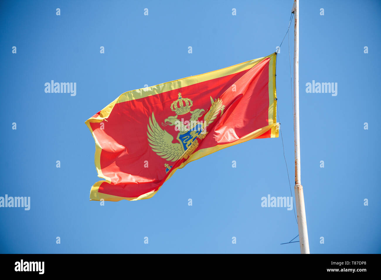 Flag montenegro against blue hi-res stock photography and images - Alamy
