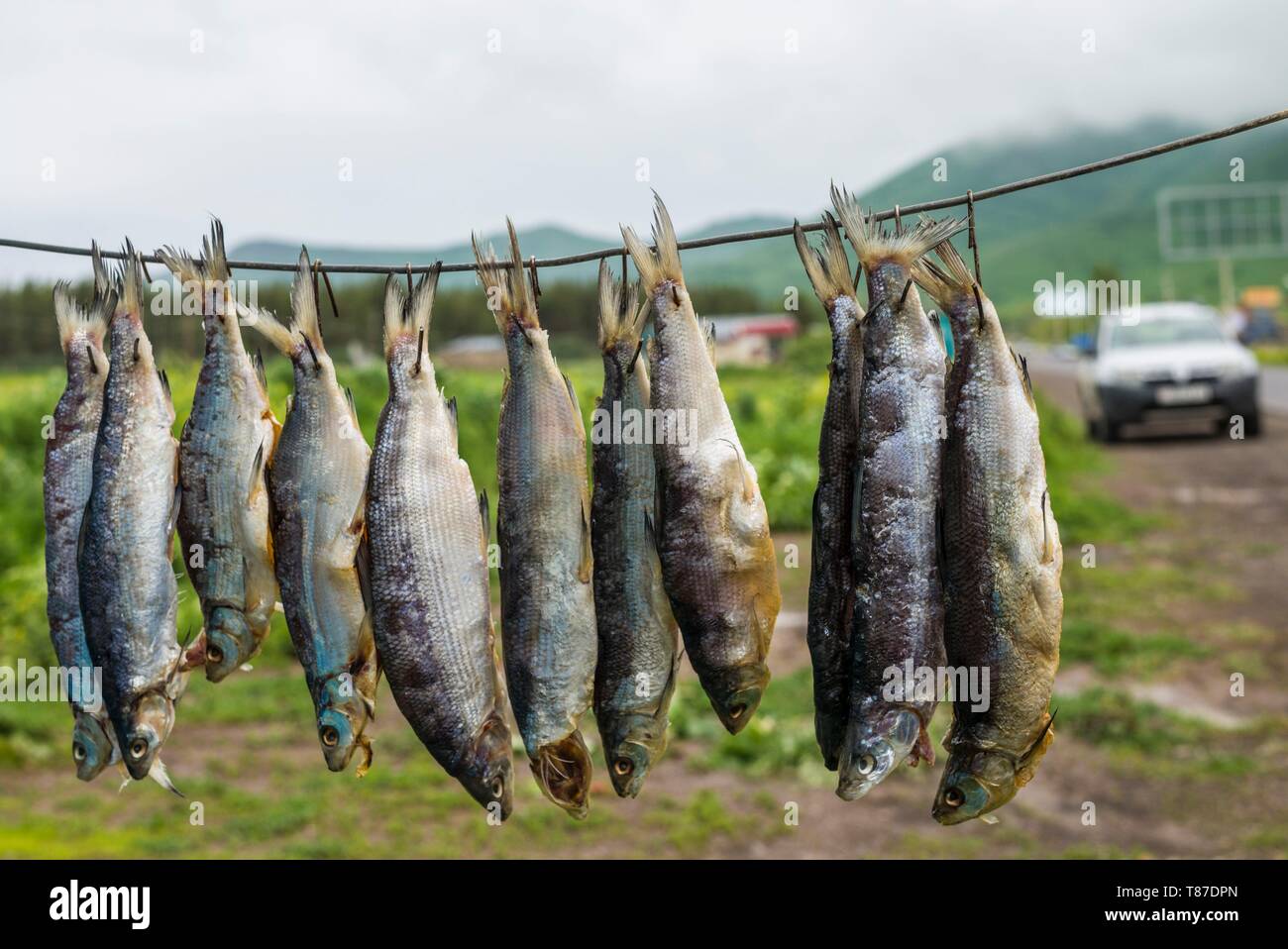 Armenia, Lake Sevan, Sevan, fish shacks selling smoked fish Stock Photo - Alamy