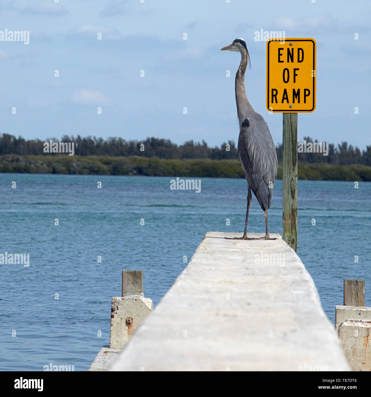 Crane Standing on a Boat Ramp Stock Photo - Alamy