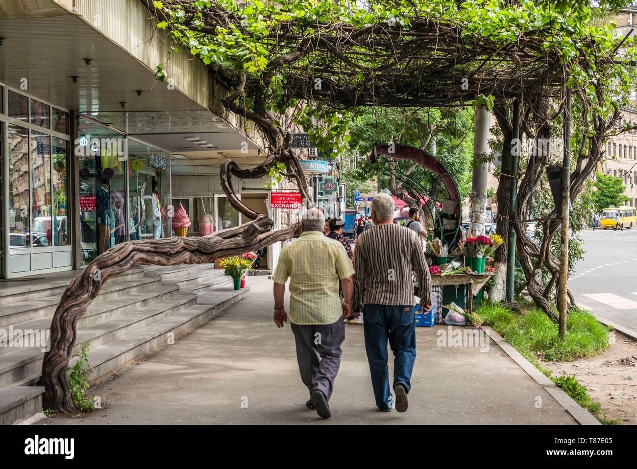 Armenia, Yerevan, tree growing out of sidewalk Stock Photo - Alamy