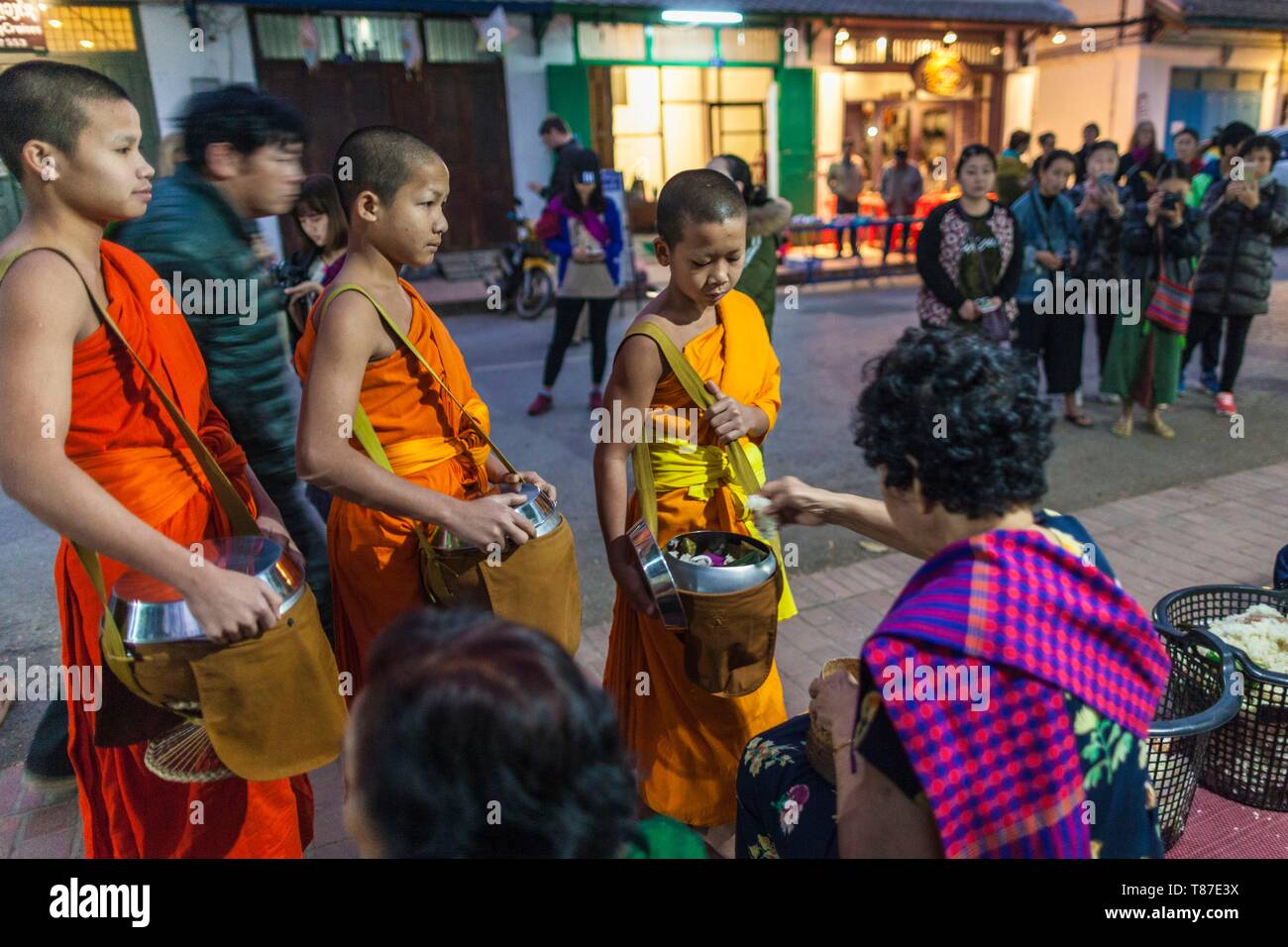 Laos, Luang Prabang, Tak Bat, dawn procession of Buddhist monks ...