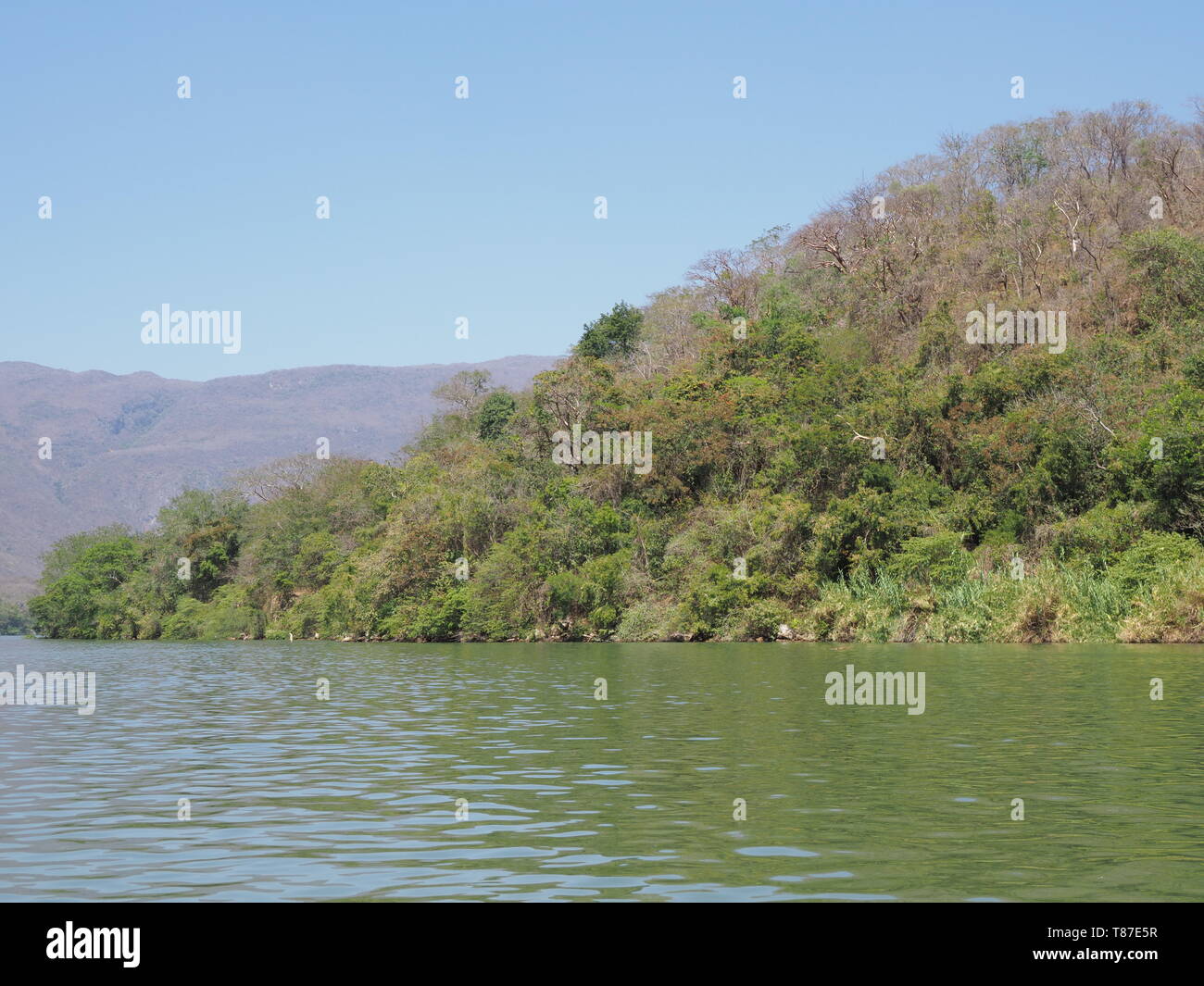 Scenery of wild slope of Sumidero canyon at Grijalva river landscape in ...
