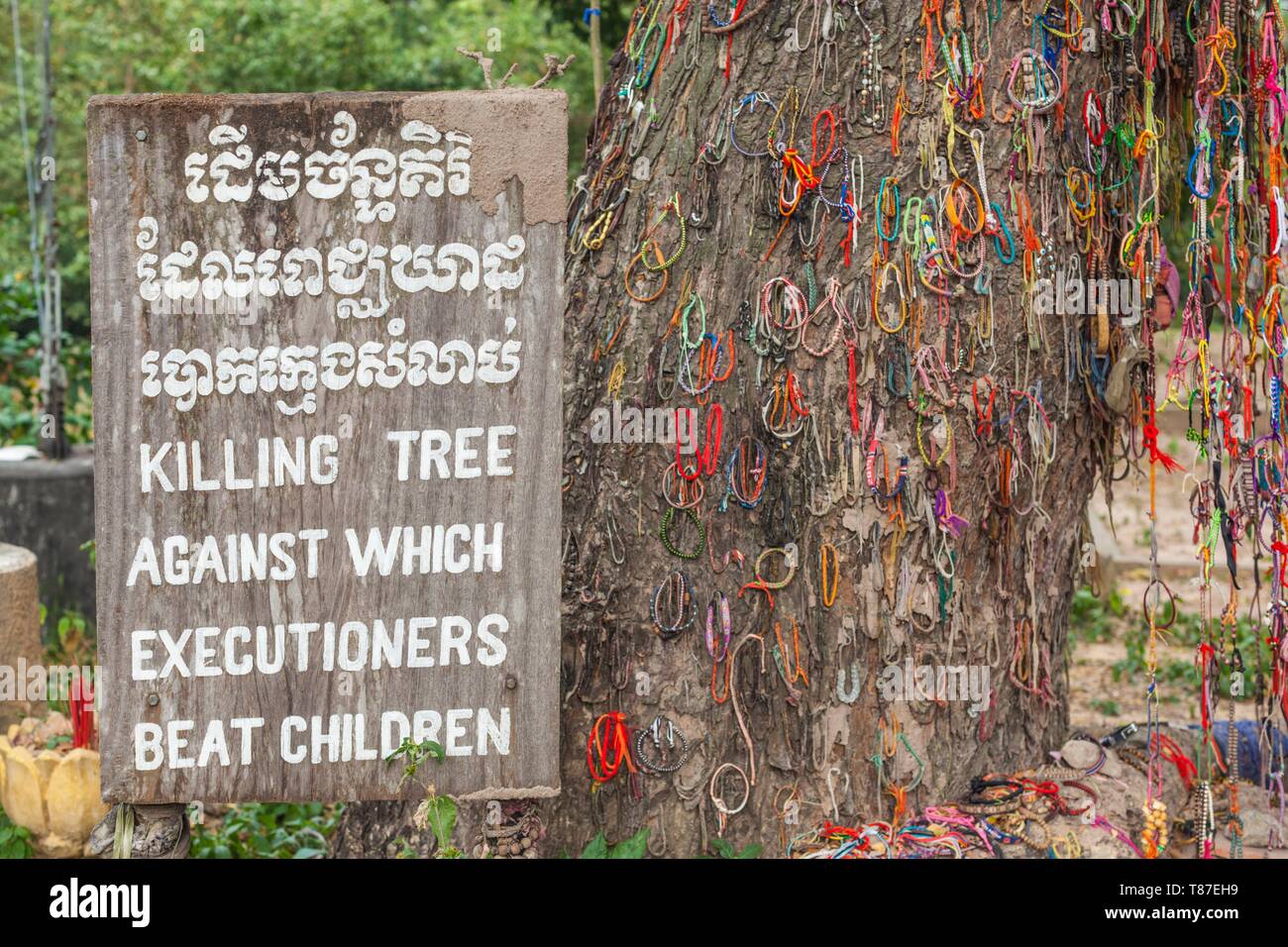 Cambodia, Phnom Penh, The Killing Fields of Choeung Ek, tree used to ...