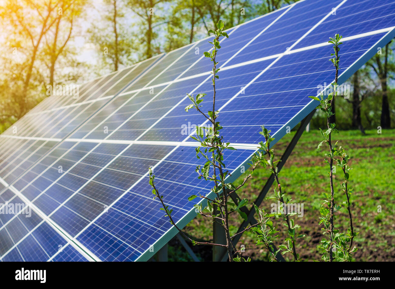 Solar panel produces green, environmentally friendly energy from the ...