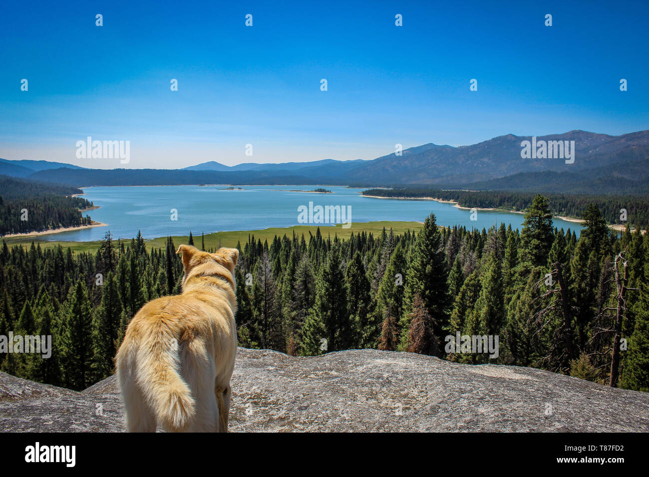 Boise national forest hi-res stock photography and images - Alamy