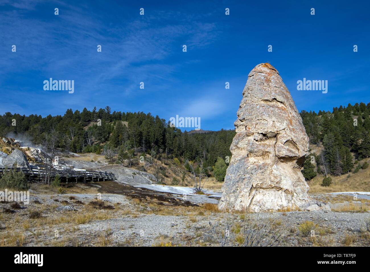 United States, Wyoming, Yellowstone National Park, Mammoth hot springs ...