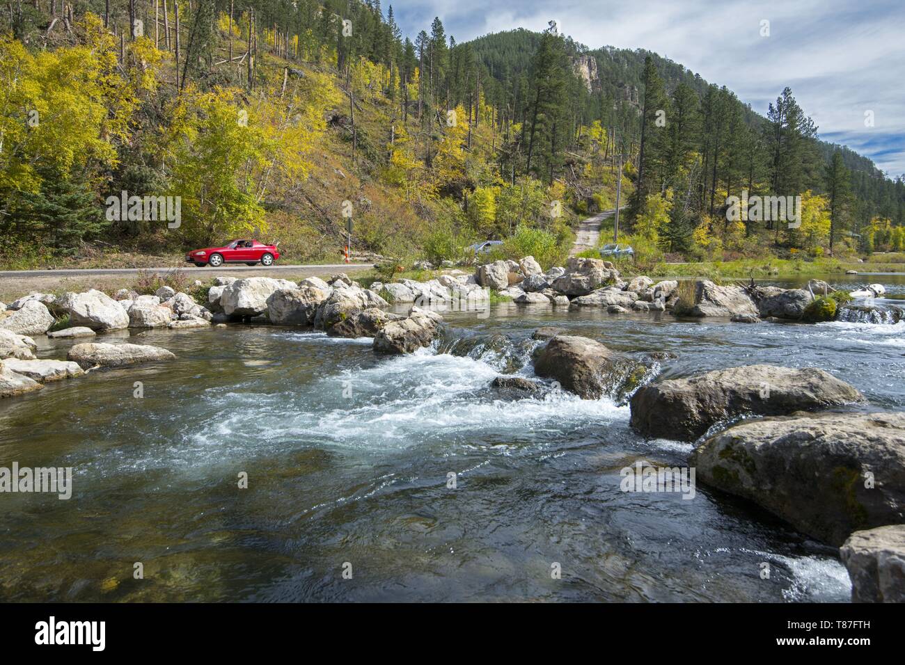 Vegetation of south america hi-res stock photography and images - Alamy