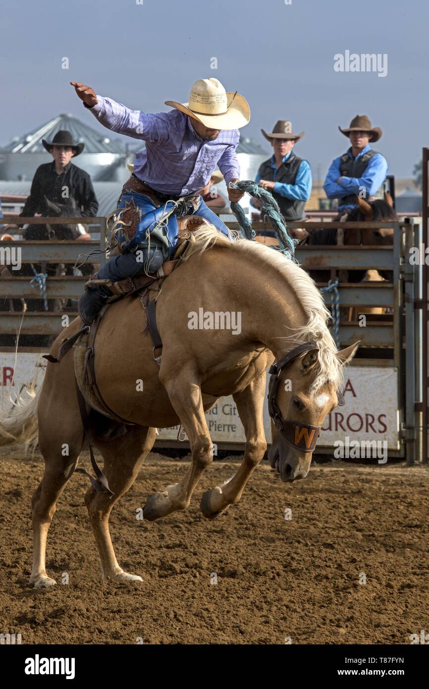Rodeo north dakota hi-res stock photography and images - Alamy