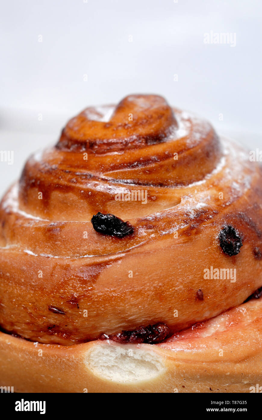 Sweet Bun sprinkled with Powder opposite the light background Stock ...