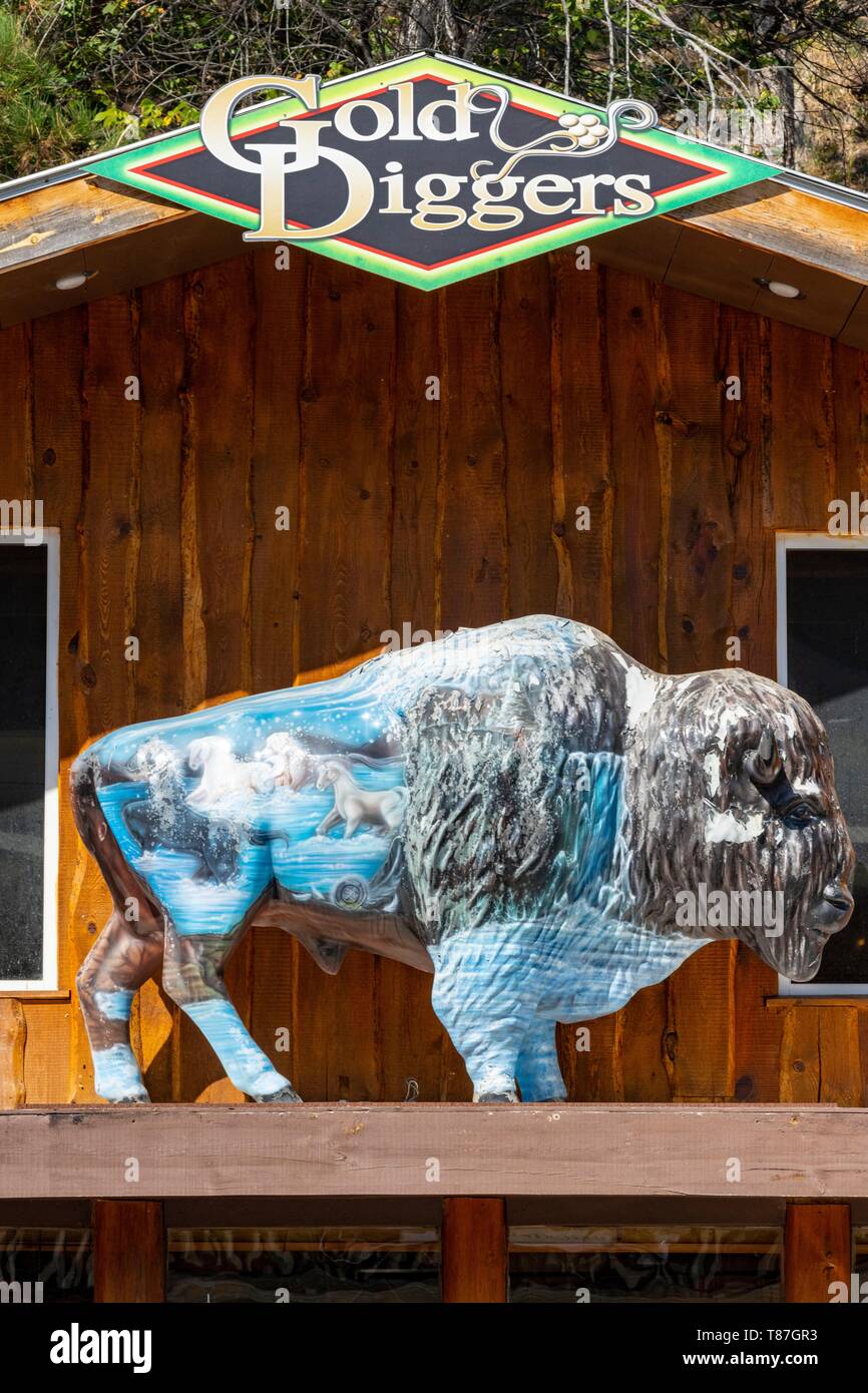 United States, South Dakota, Custer, buffalo statue Stock Photo - Alamy