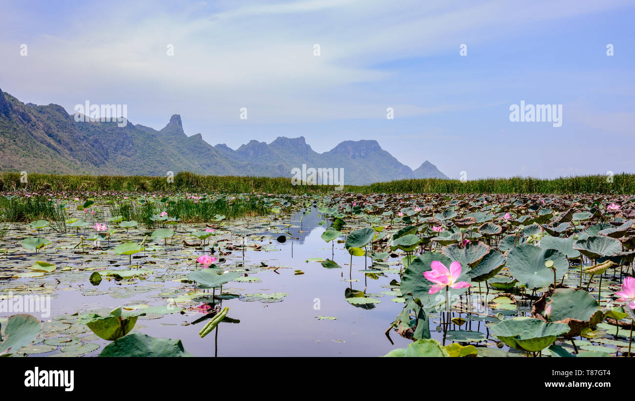Thailand khao sam roi yot national park hi-res stock photography and ...