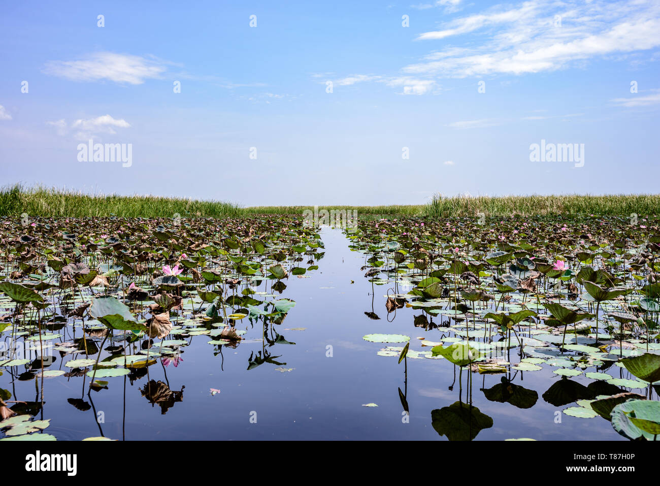 Khao sam roi yot thailand hi-res stock photography and images - Alamy