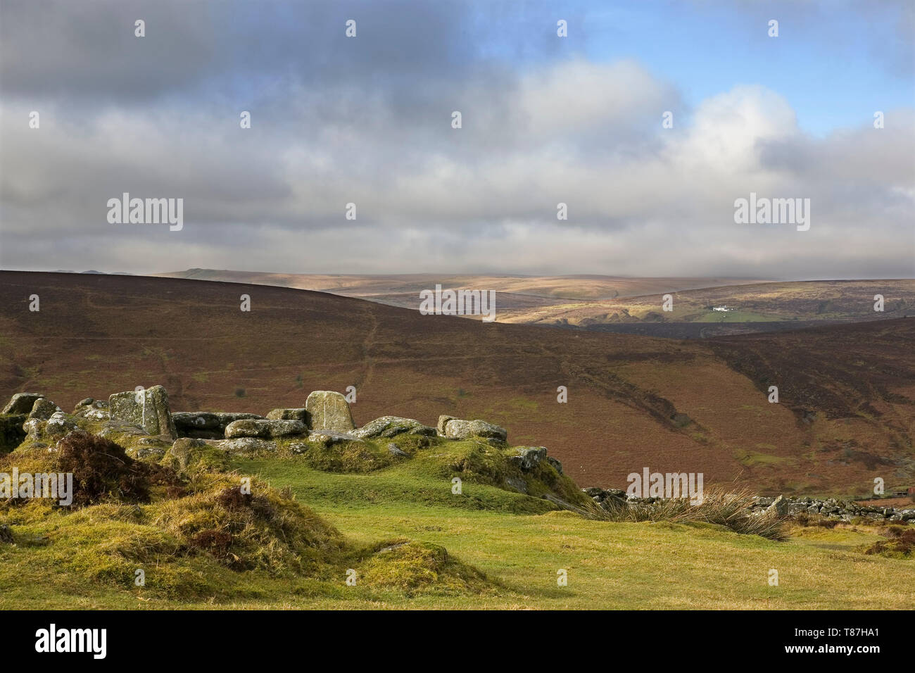 Grimspound Bronze-Age settlement, Dartmoor, Devon, UK Stock Photo - Alamy