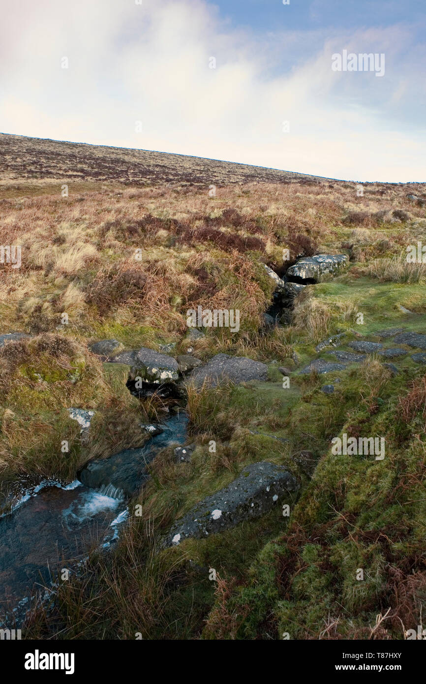 A tiny stream, Grim's Lake, on Hookney Moor, Dartmoor, Devon, UK Stock ...