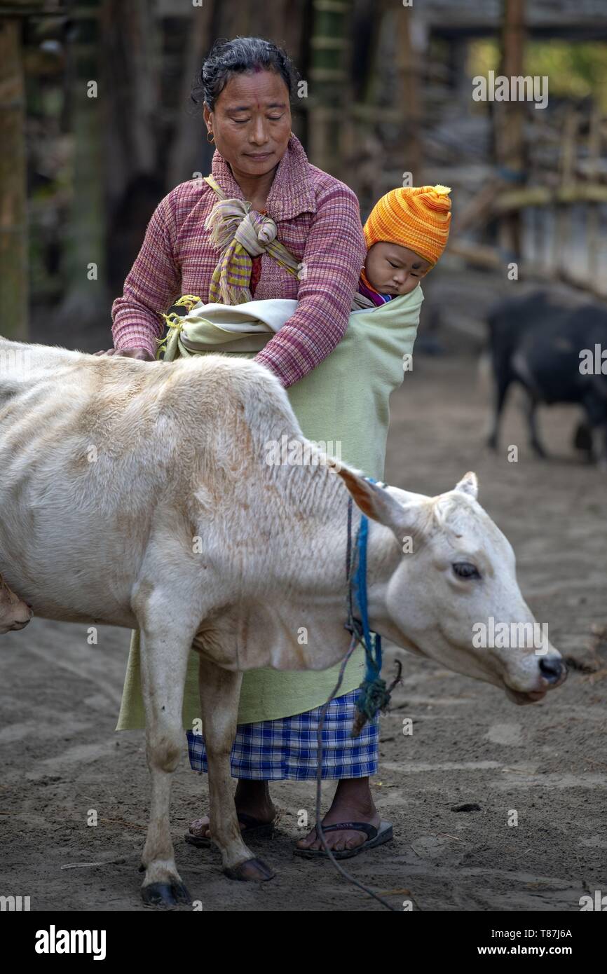 India, Assam, Majuli island on the Brahmapoutre river Stock Photo - Alamy