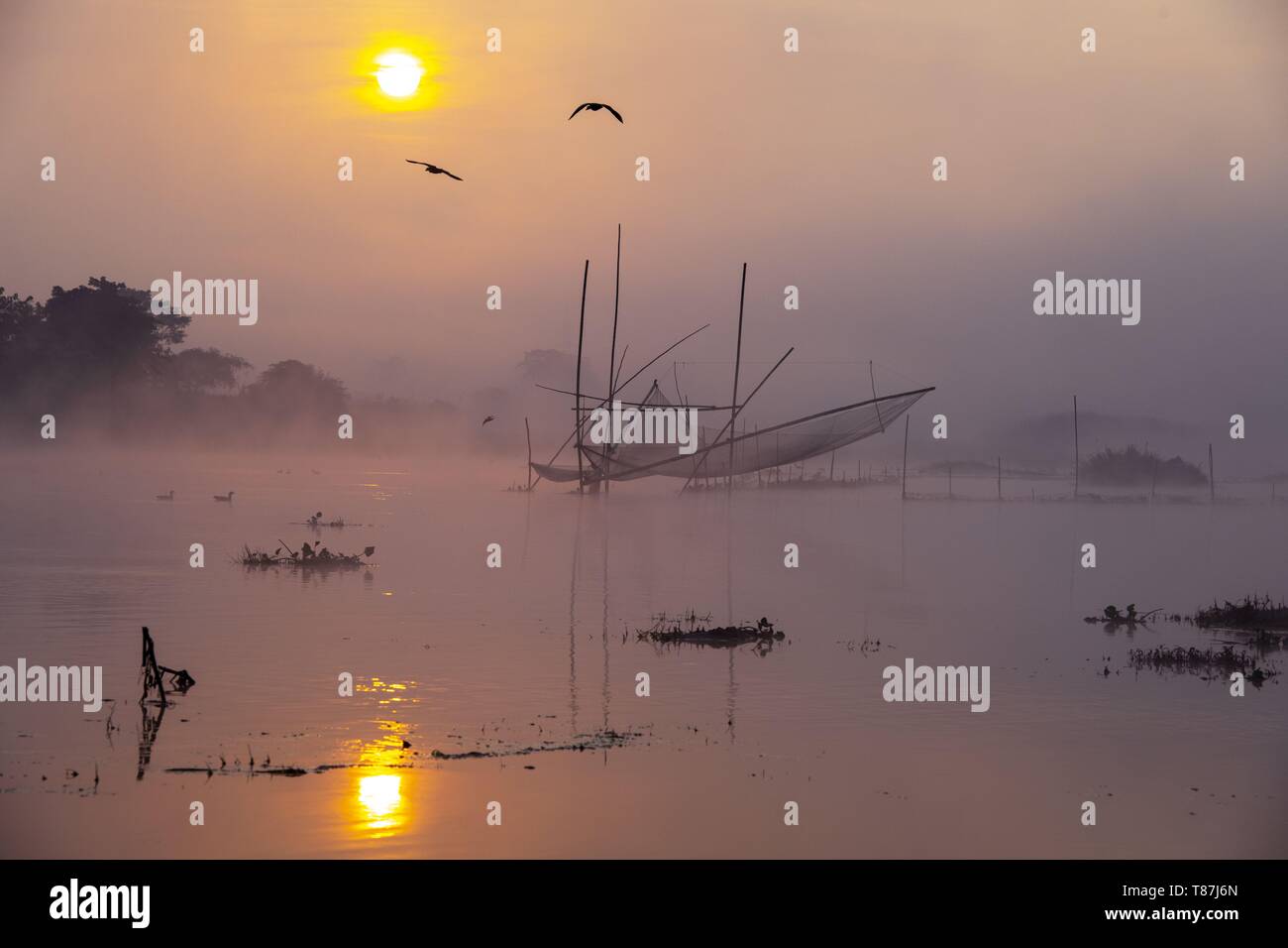 India, Assam, Majuli island on the Brahmapoutre river Stock Photo - Alamy