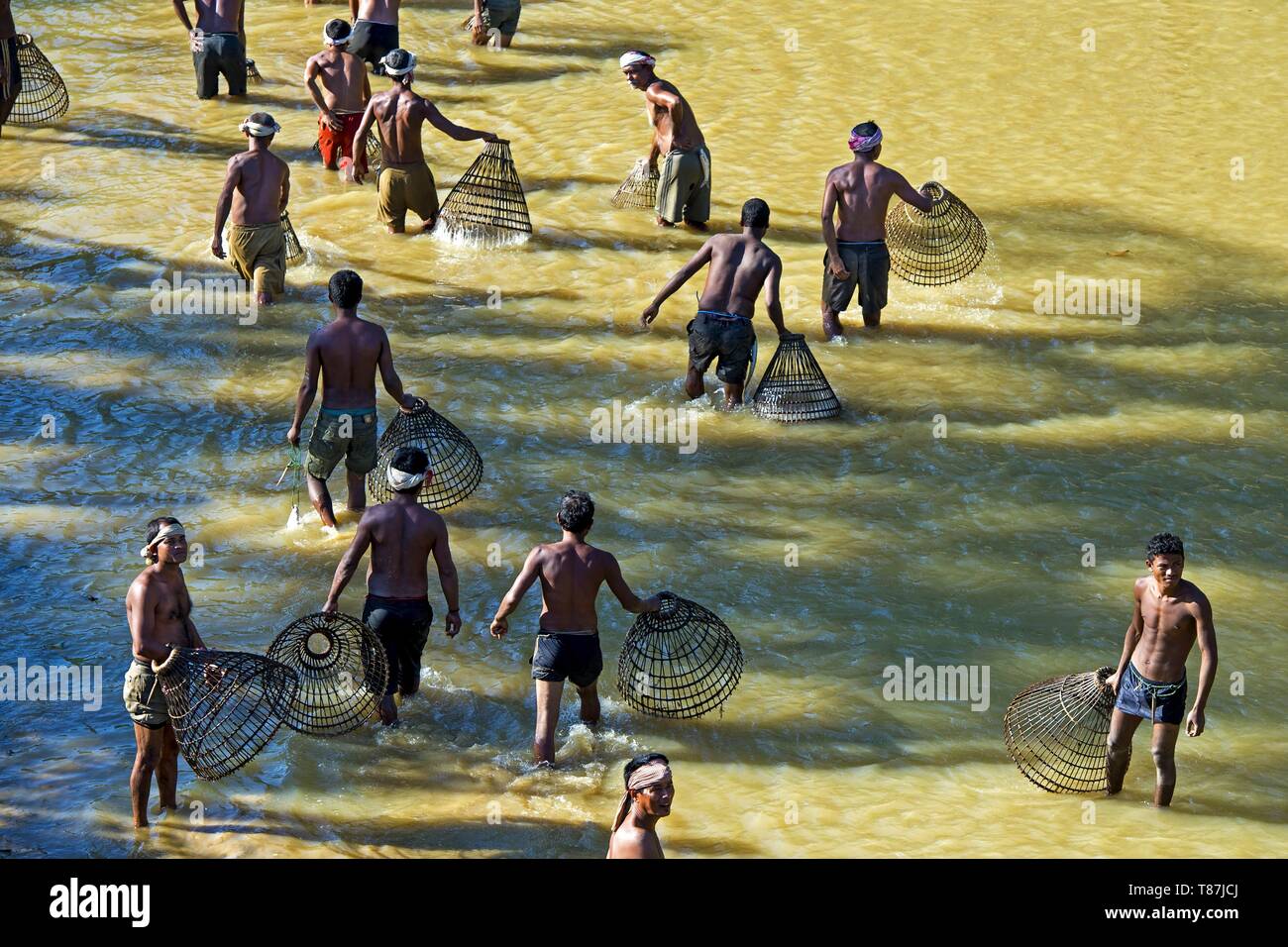 India, Assam, Sibsagar, community fishing Stock Photo - Alamy
