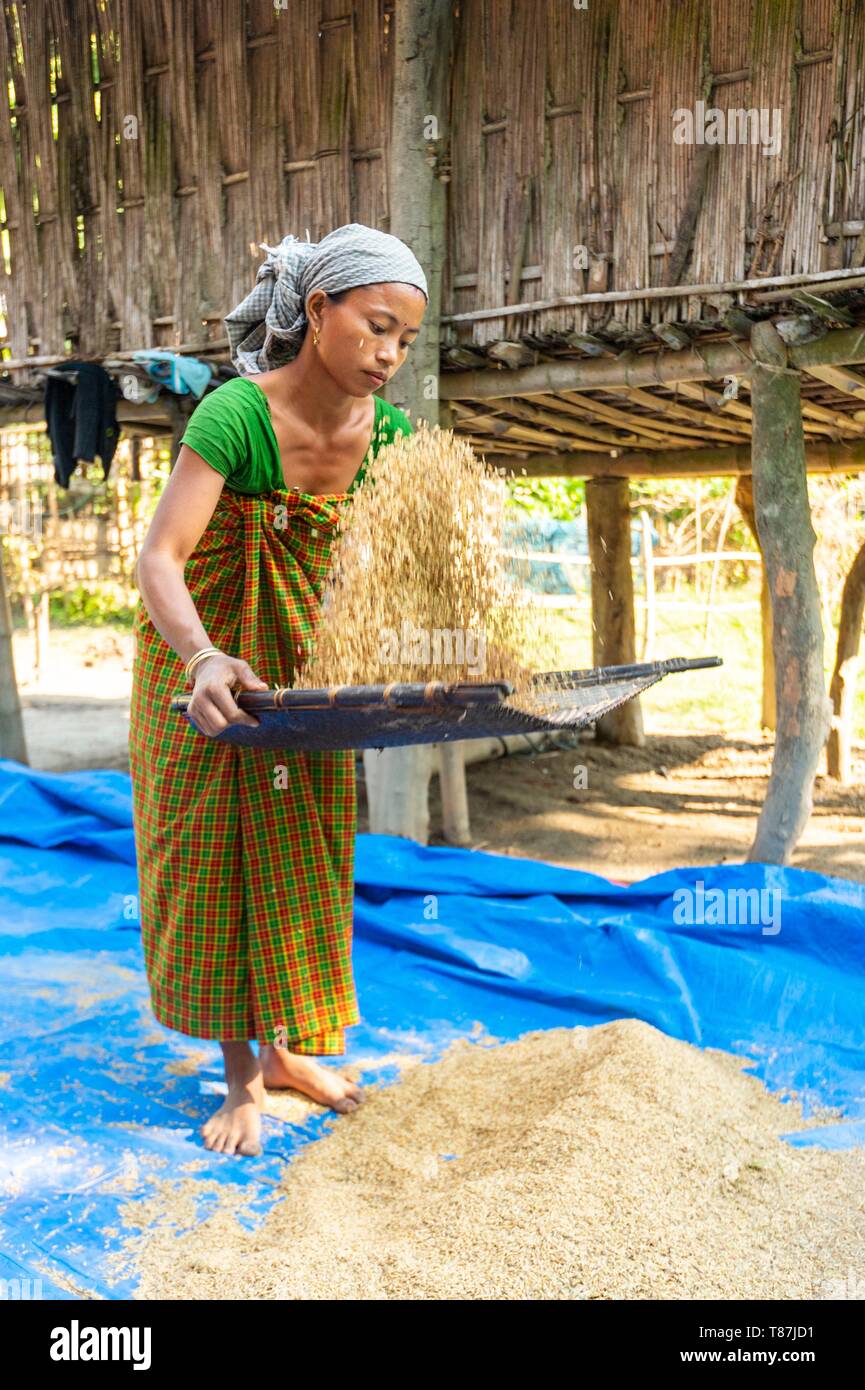 Indigenous rice hi-res stock photography and images - Alamy