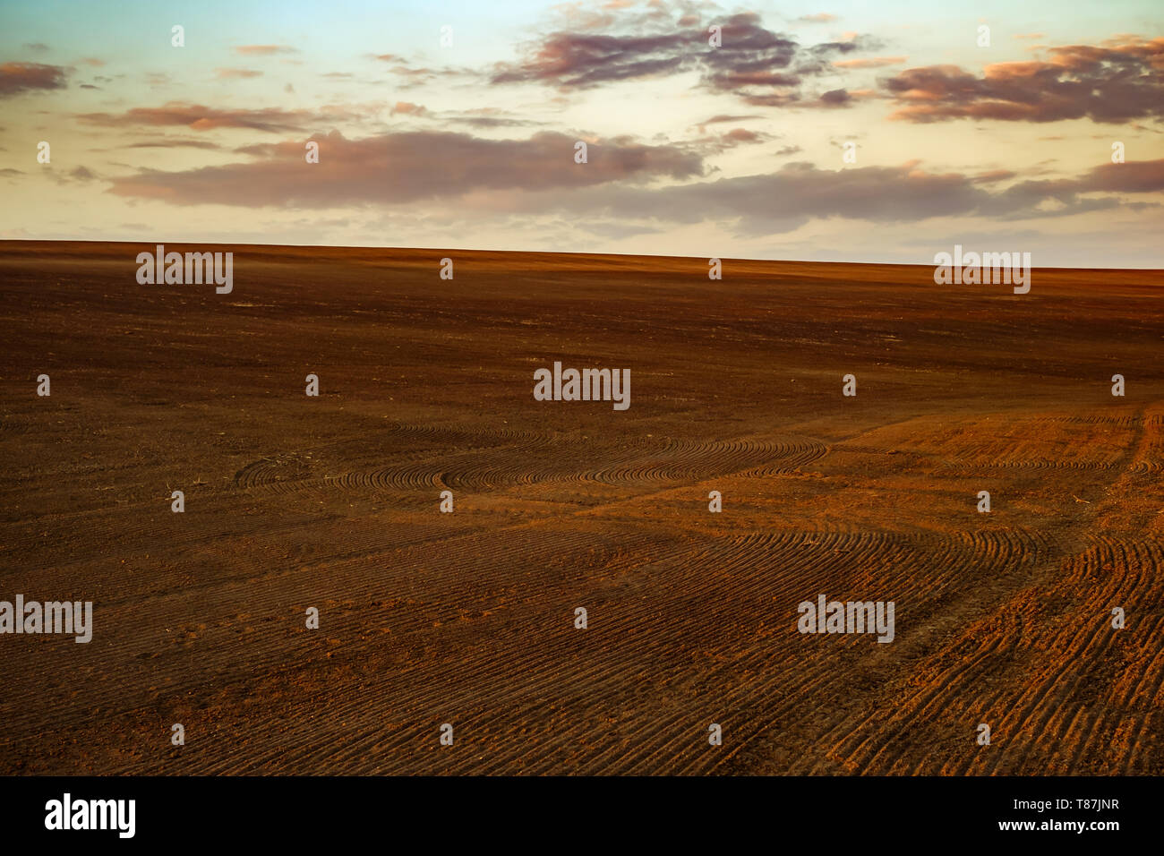 Sowing at sunset hi-res stock photography and images - Alamy
