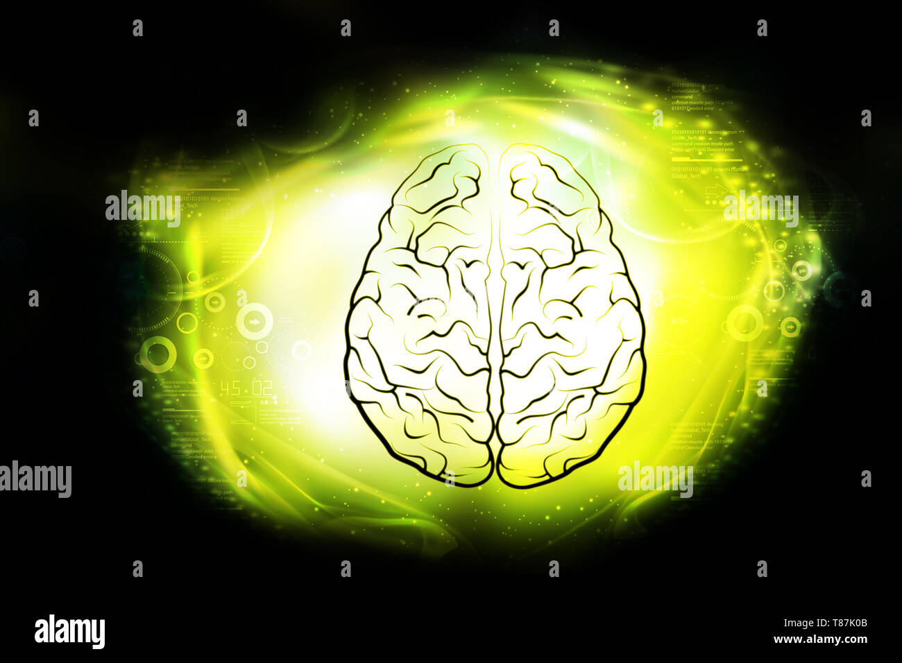 presentation of human brain Stock Photo - Alamy