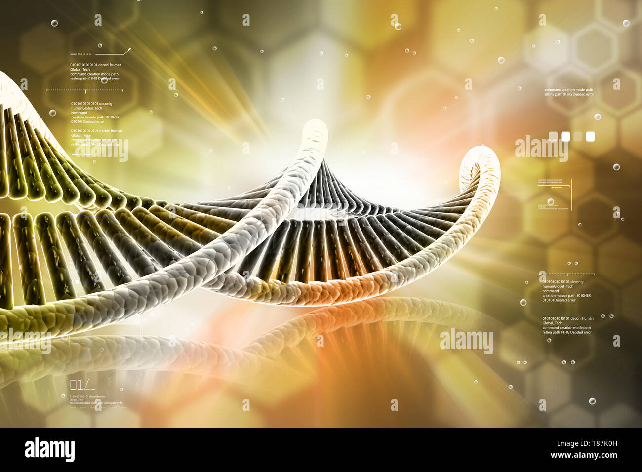 Microscopic image scale hi-res stock photography and images - Alamy