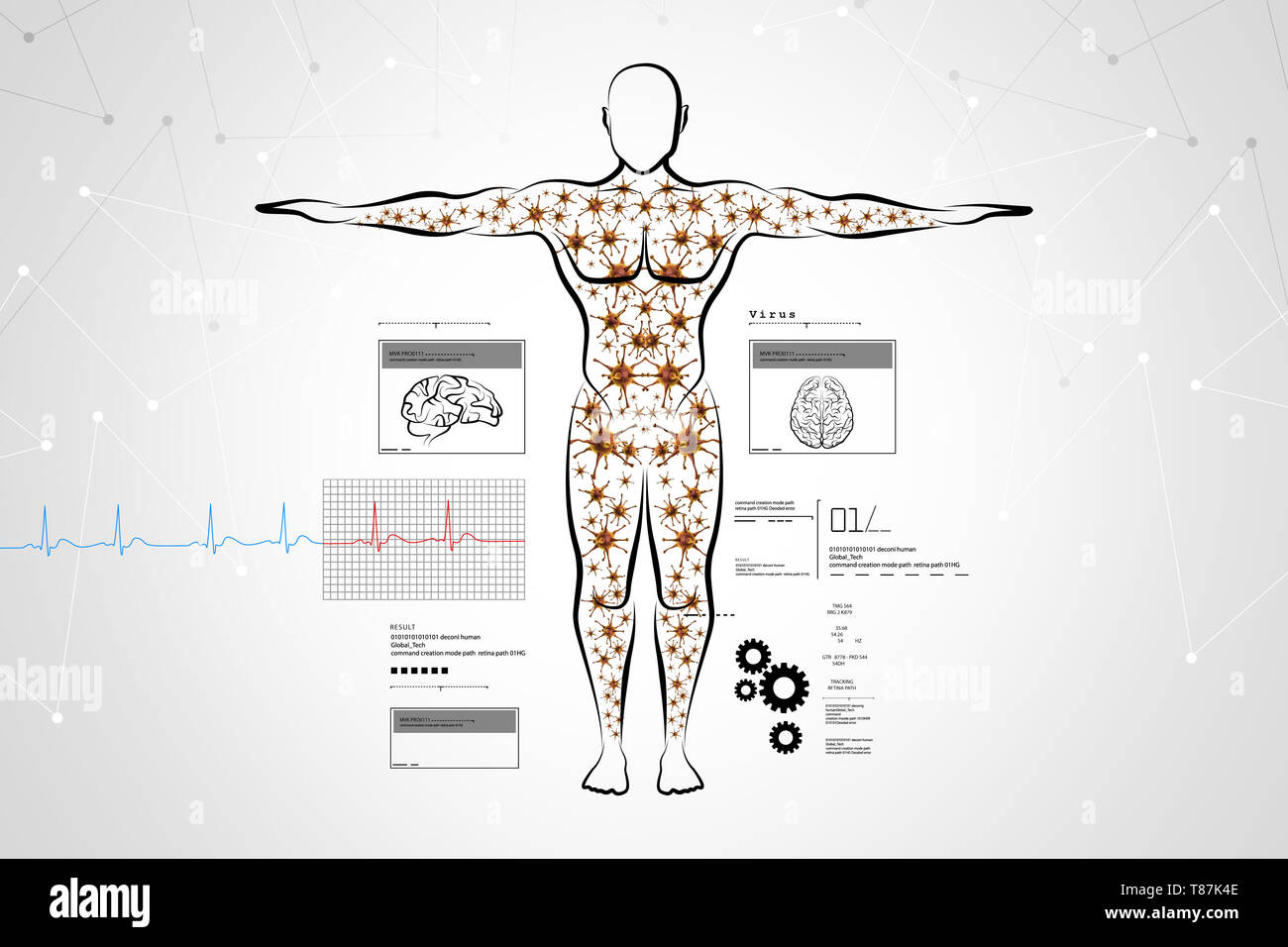 Molecular structure of human body Stock Photo - Alamy