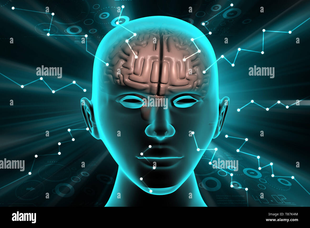 Brain development concept Stock Photo - Alamy