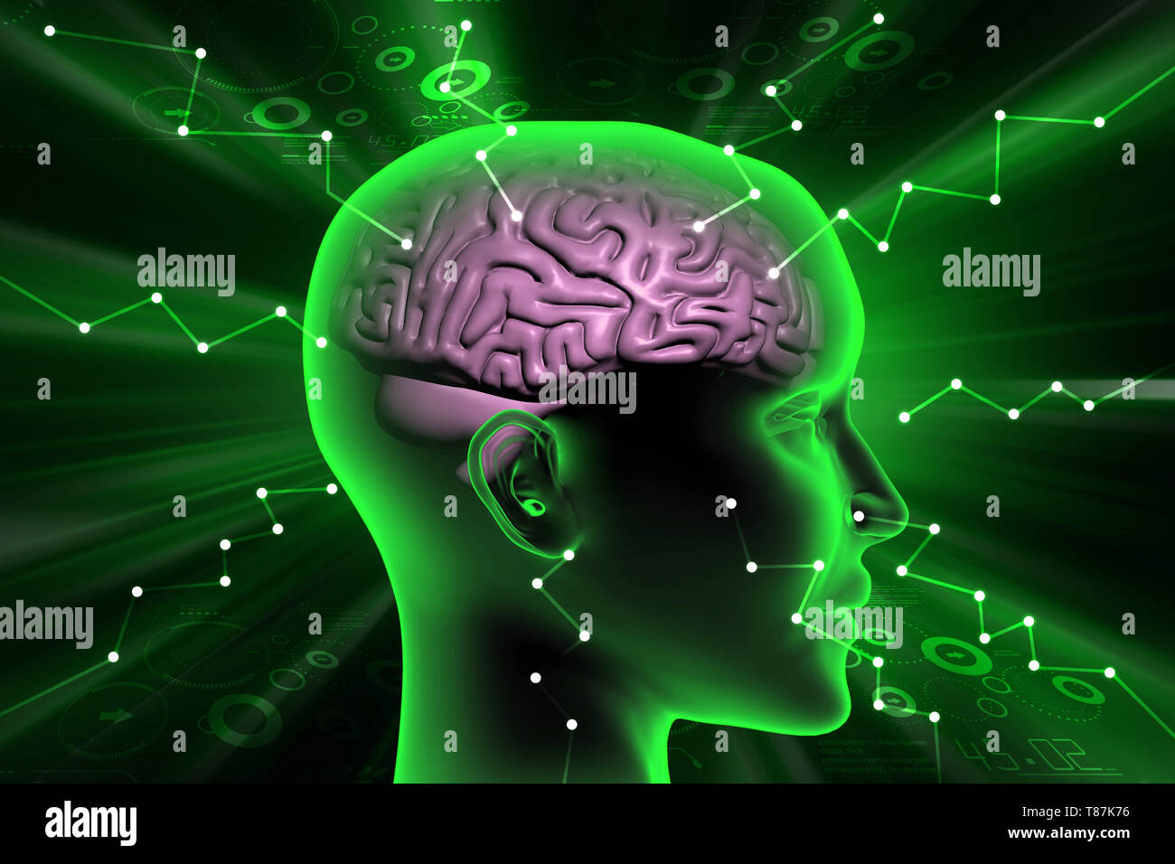 Human brain side diagram hi-res stock photography and images - Alamy