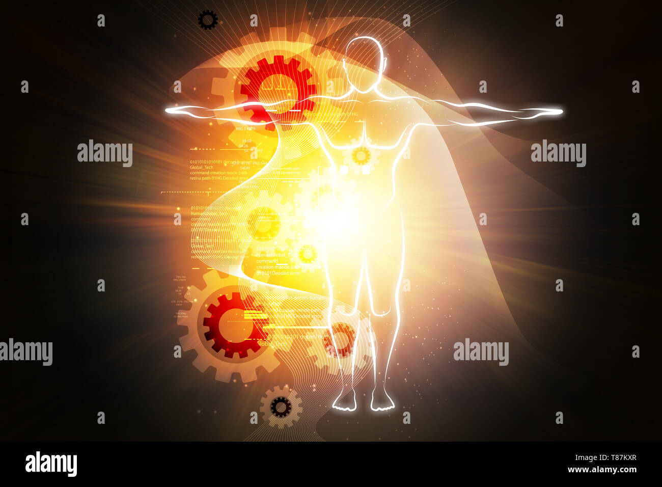 Human body Stock Photo - Alamy