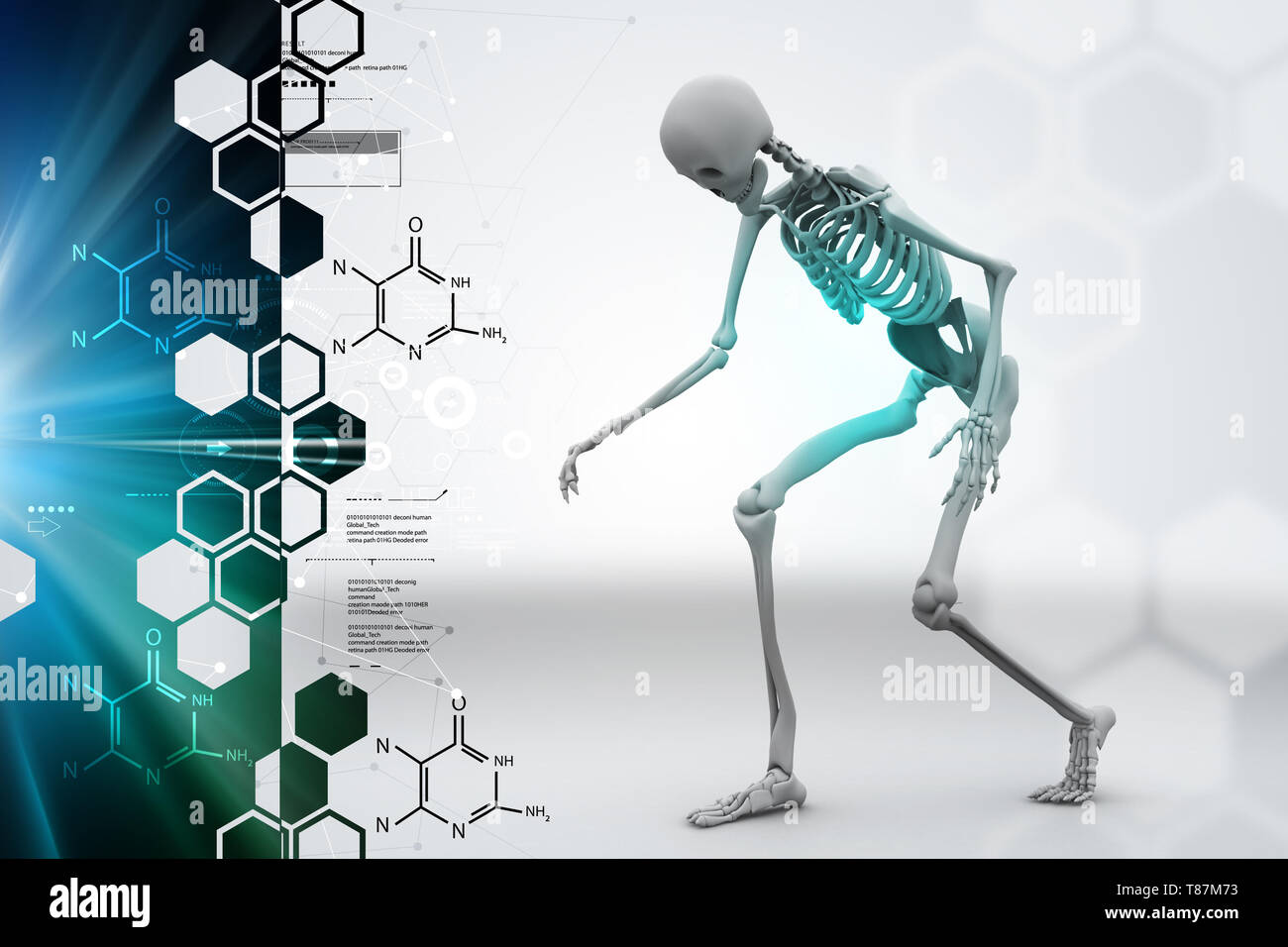 Scanning human anatomy medic science hi-res stock photography and ...