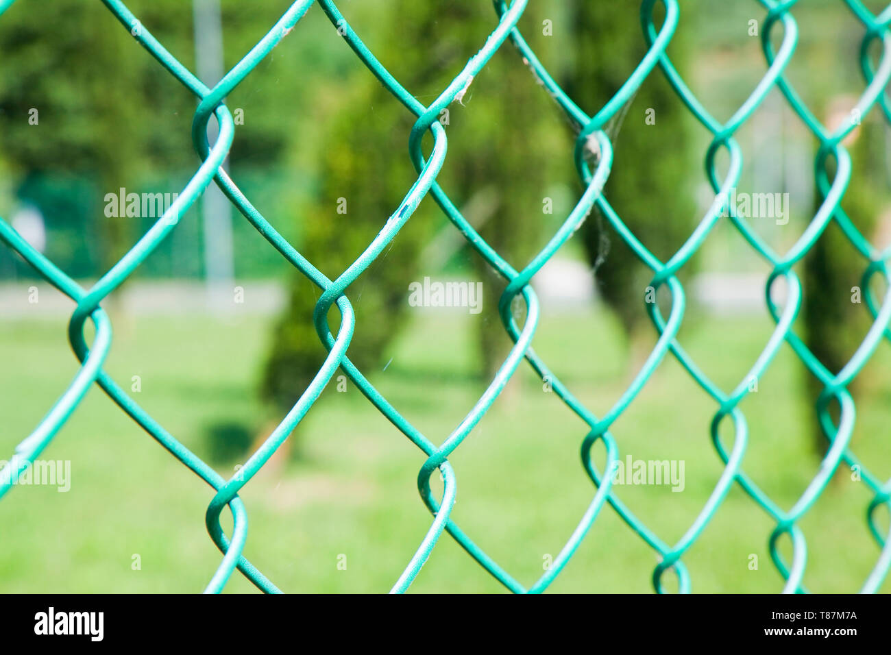 Green metal wire mesh against a green area Stock Photo - Alamy