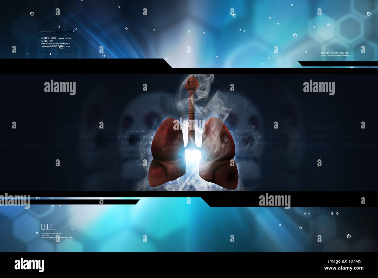 Medical illustration body render lungs hi-res stock photography and images - Alamy