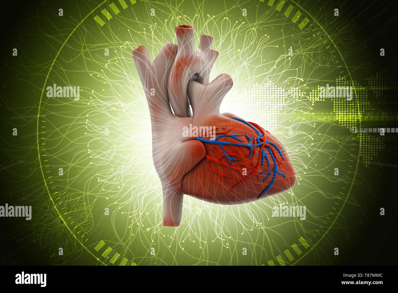 Human heart with platelets in color background Stock Photo - Alamy