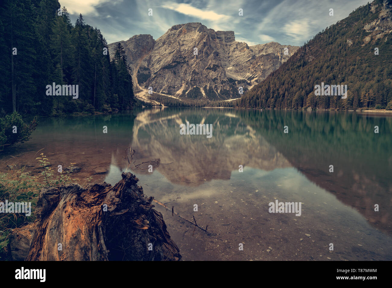 autumn in the Dolomites, Lake Prags, Lake Braies Stock Photo - Alamy