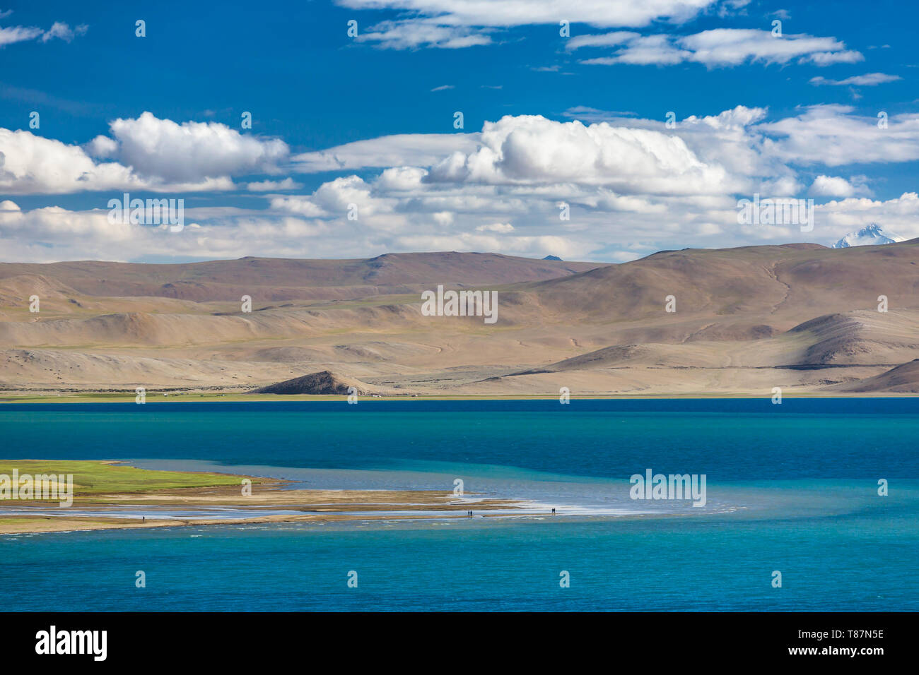 Beautiful landscape of Tso Moriri Lake located in Rupshu valley in ...