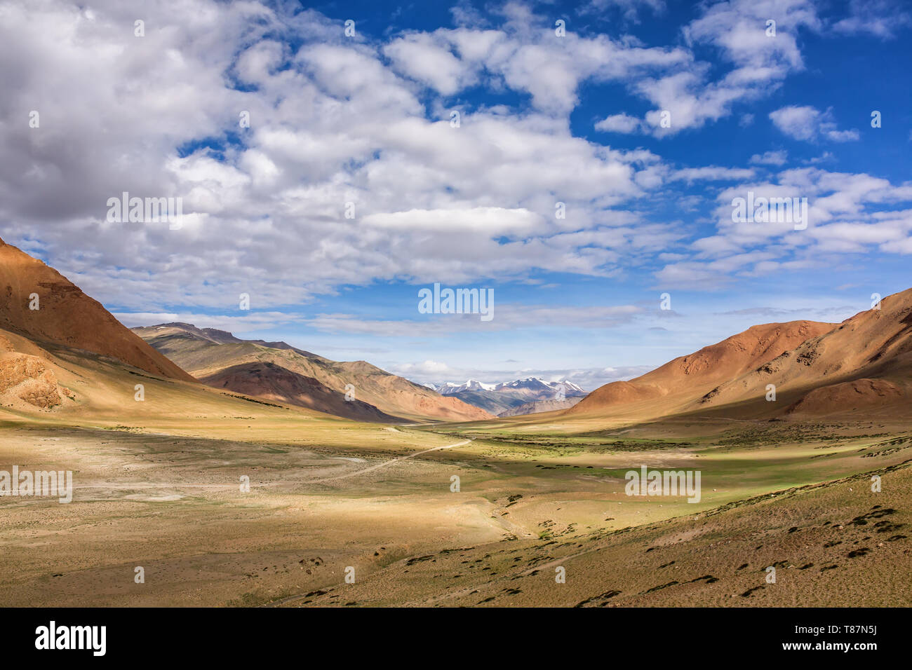 Beautiful landscape of the famous More plains in Ladakh, India Stock ...