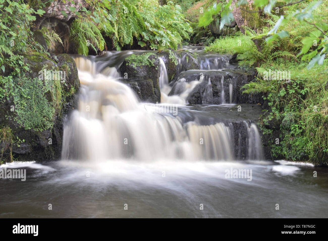 Beck river water riverbank hi-res stock photography and images - Alamy