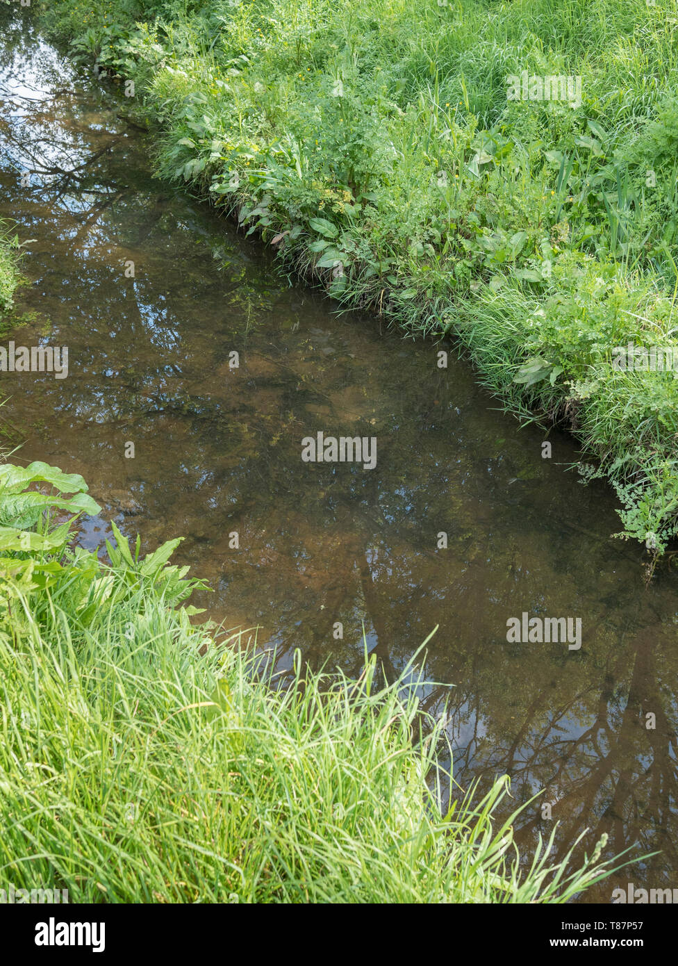 Rural grass covered drainage ditch to control water run-off from ...