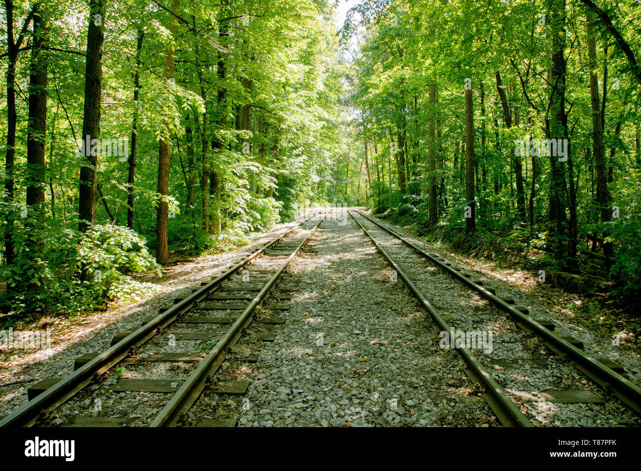 Railroad tracks on a bed of rock stretching out across forest landscape ...