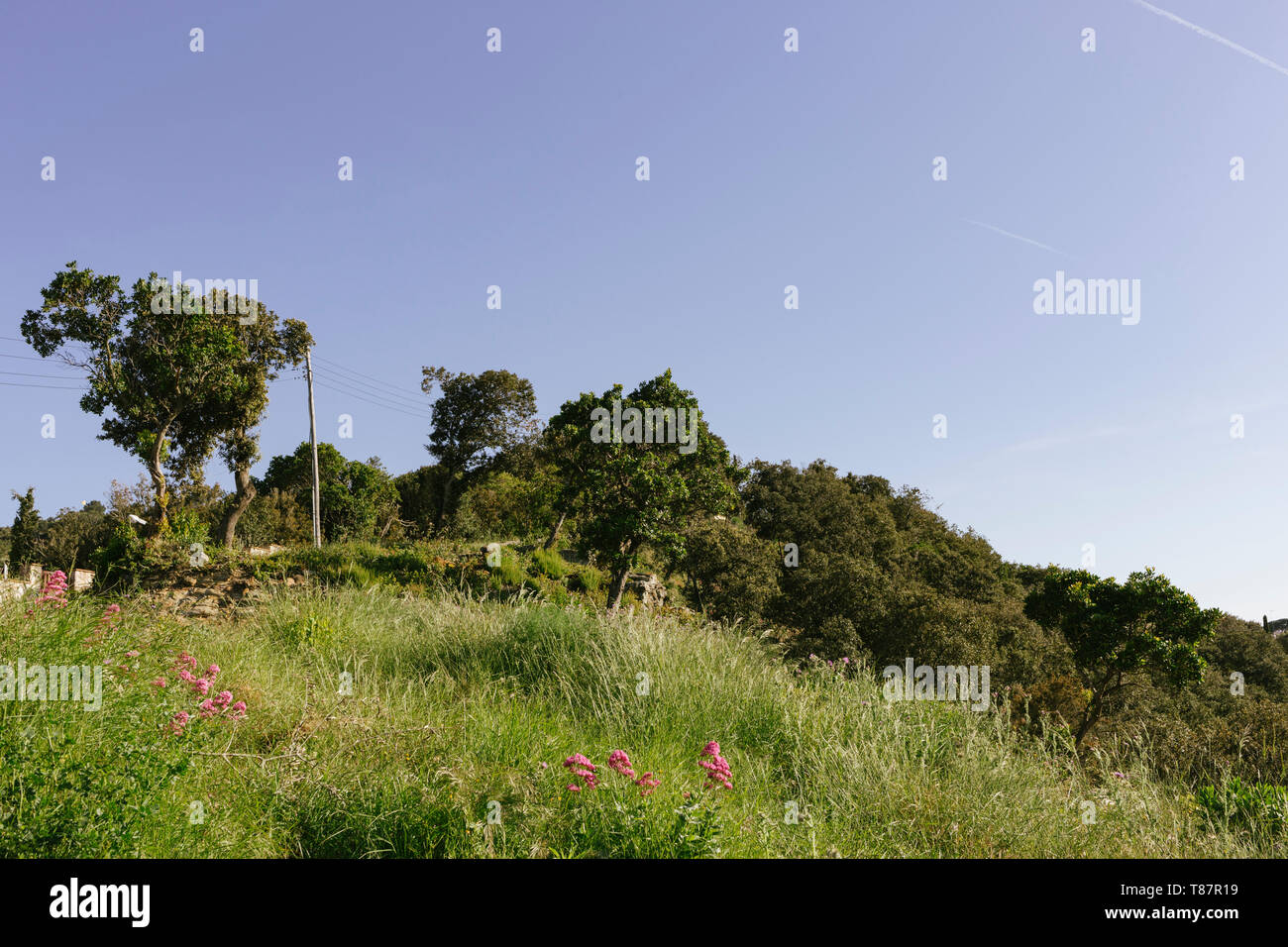 Sa riera costa brava hi-res stock photography and images - Alamy