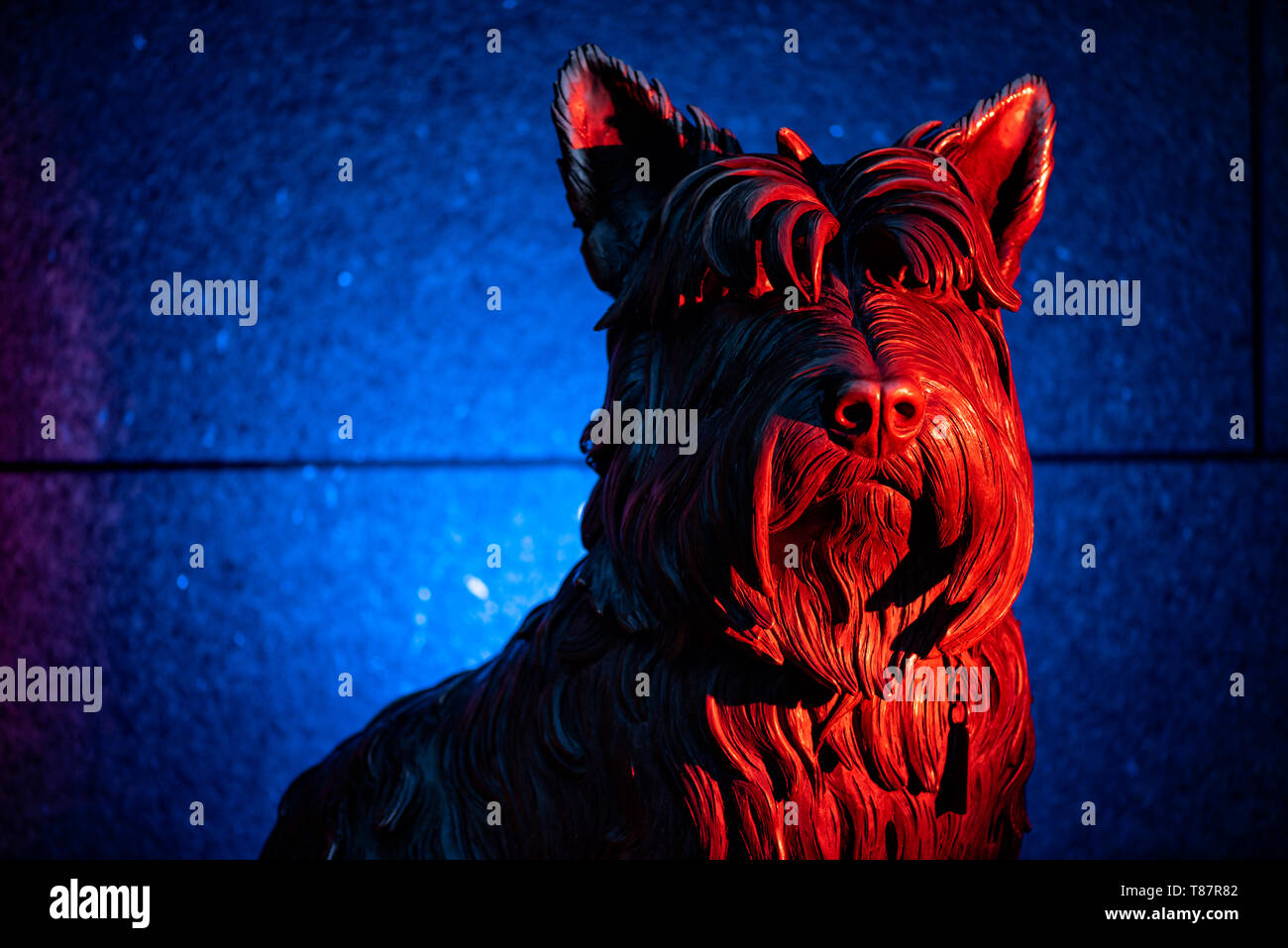 Fdr memorial wheelchair access hi-res stock photography and images - Alamy