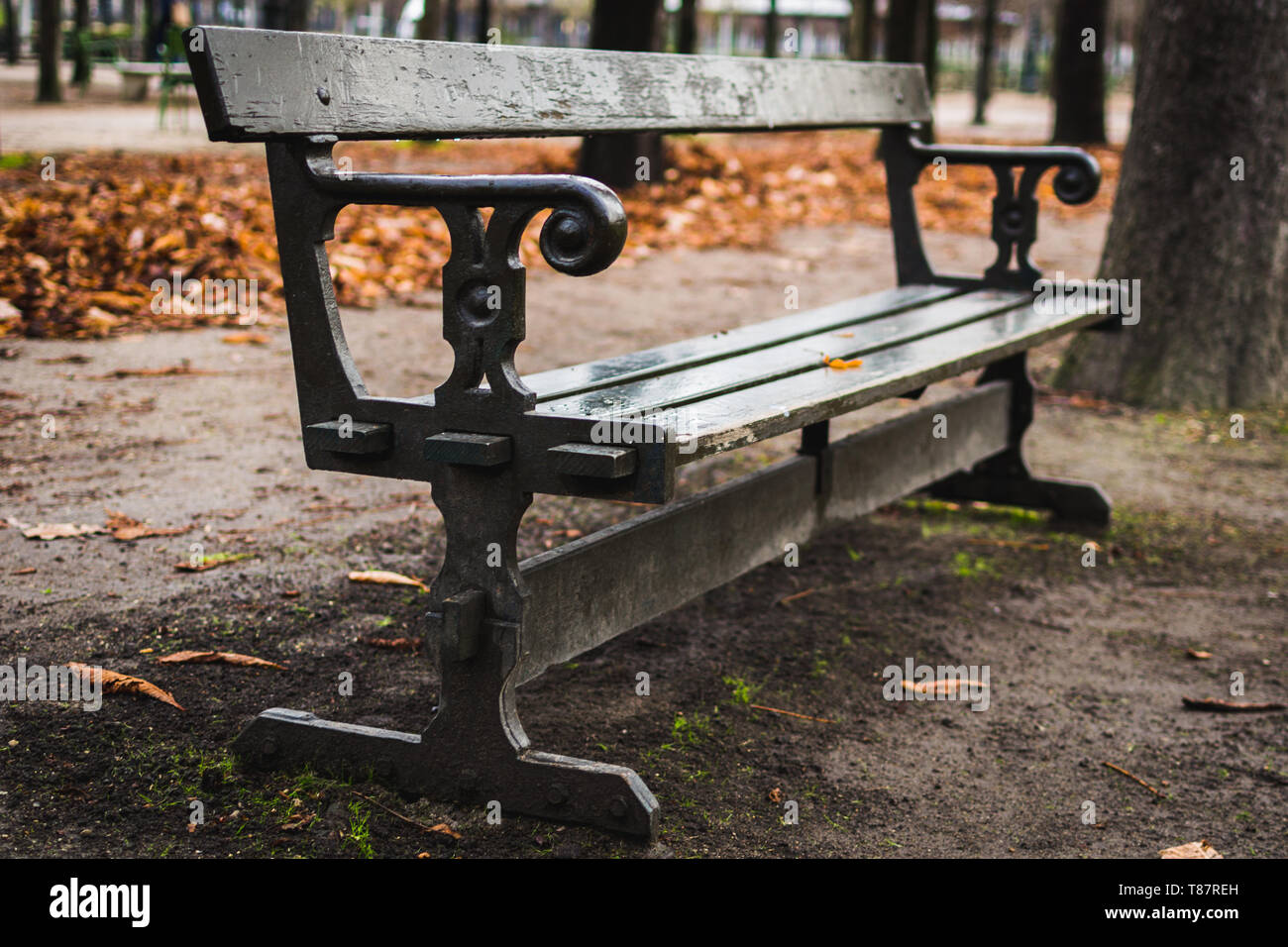 Isolated bench in autumn in the Tuileries Garden in Paris France Stock ...
