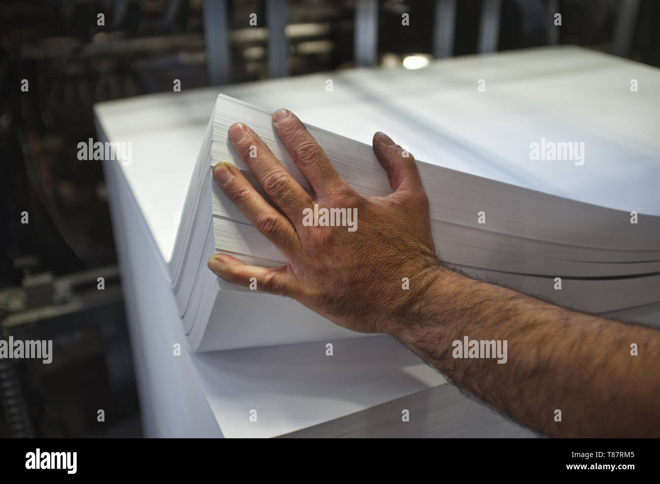 close-up of manually loading paper offset printing machine Stock Photo ...