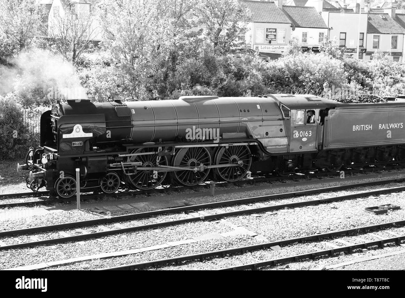 The 60163 Tornado steam locomotive hauling the Ynys mon express from ...