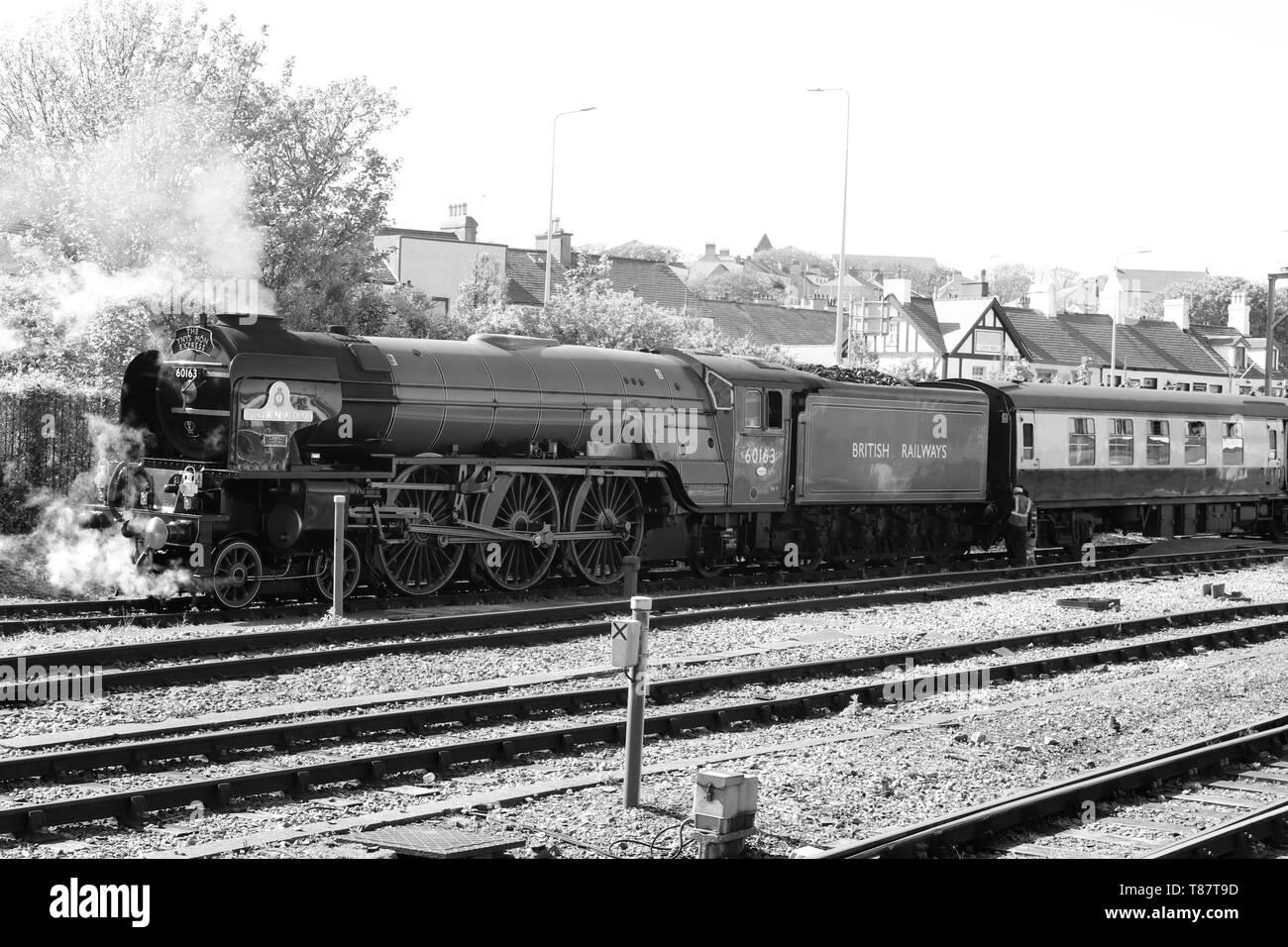 The 60163 Tornado steam locomotive hauling the Ynys mon express from ...