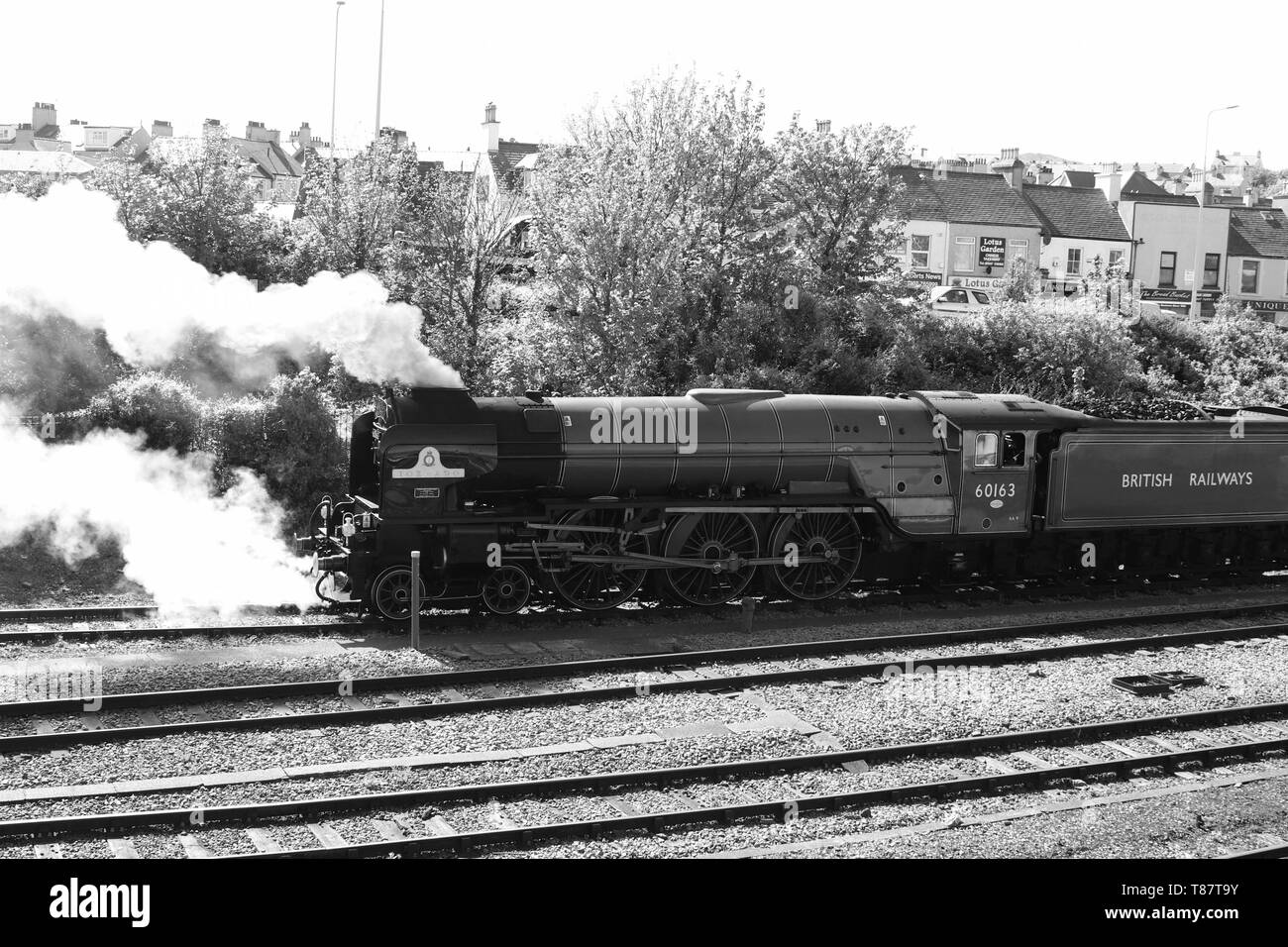 The 60163 Tornado steam locomotive hauling the Ynys mon express from ...